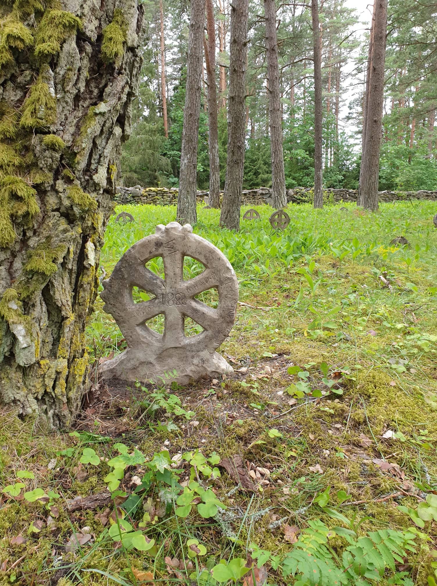 Churchyard and cemetery / Kyrkogård – Vormsi church